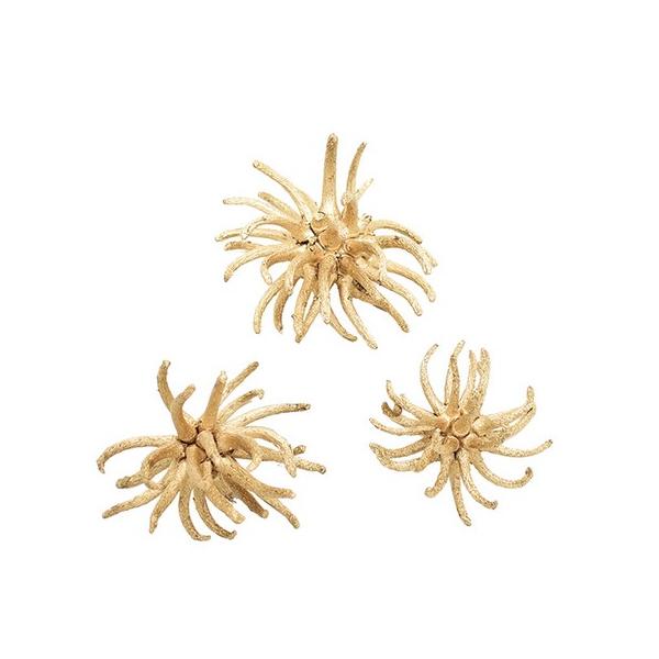 【商品番号：065-01258】/【VAR：67554】20221108new/15px-002ドライ実物＆フルーツ 木の実【コアトレーディング】