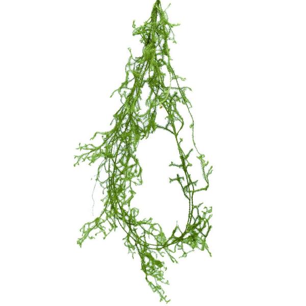 【商品番号：065-01312】/【VAR：】date20240909ドライ葉物 葉物