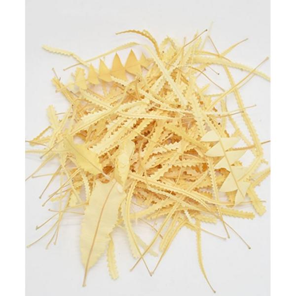 【商品番号：065-01336】/【VAR：】date20240909ドライ葉物 リーフ