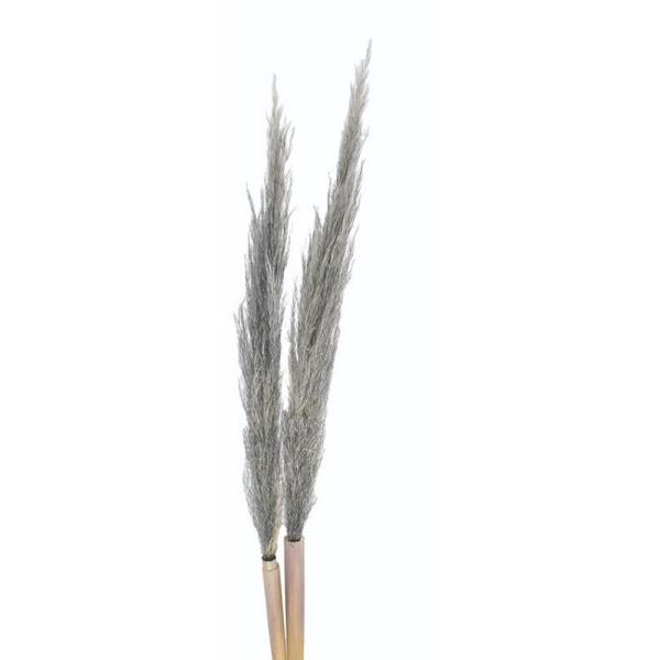 【商品番号：065-01394】/【VAR：】date20240909ドライ穂物 パンパスグラス系