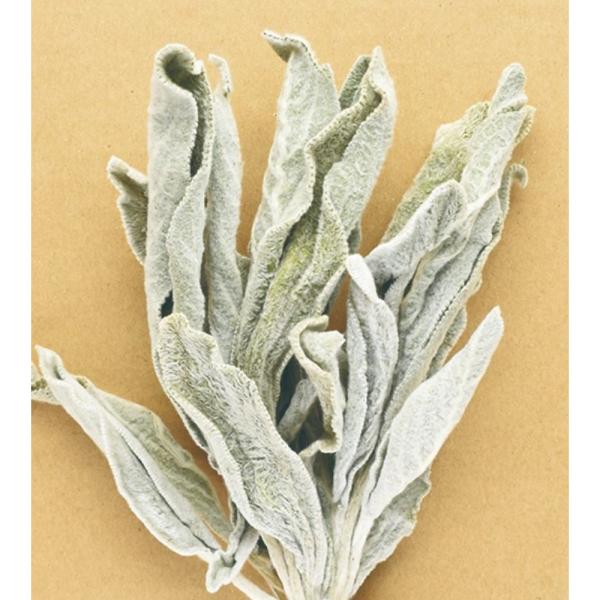 【商品番号：065-01453】/【販売単位】2箱 ※表示価格は、この単位での金額となります/【VAR：81381】date20240909/小ロットで買いやすくなりました！2411ドライ葉物 葉物【コアトレーディング】