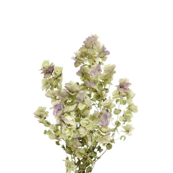 【商品番号：065-01505】/【VAR：88170】date20251103ドライフラワー花材 オレガノ