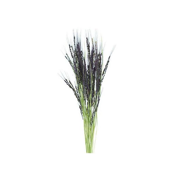 【商品番号：065-01511】/【VAR：】date20251103ドライ穂物 イネ(稲)【コアトレーディング】