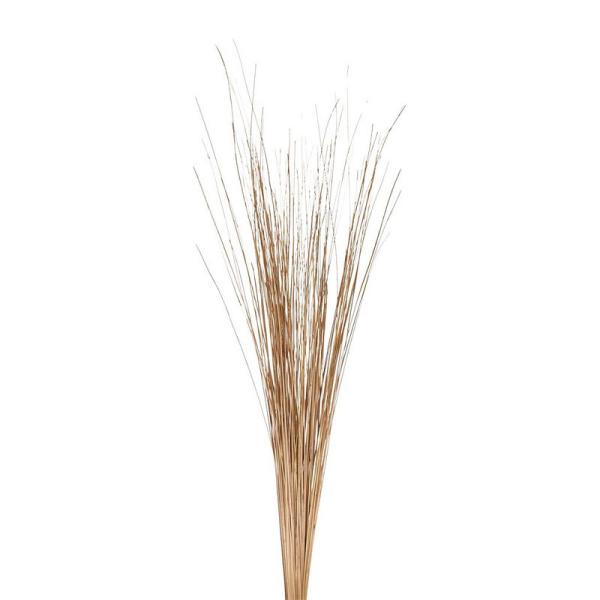 【商品番号：065-01533】/【販売単位】10束 ※表示価格は、この単位での金額となります/【VAR：】date20251103ドライ葉物 その他【コアトレーディング】