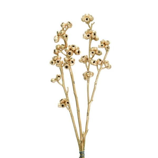 【商品番号：065-01570】/【販売単位】5束 ※表示価格は、この単位での金額となります/【VAR：】date20251103ドライ実物＆フルーツ 木の実【コアトレーディング】