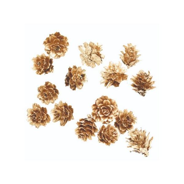 【商品番号：065-01571】/【販売単位】10袋 ※表示価格は、この単位での金額となります/【VAR：】date20251103ドライ実物＆フルーツ 木の実【コアトレーディング】