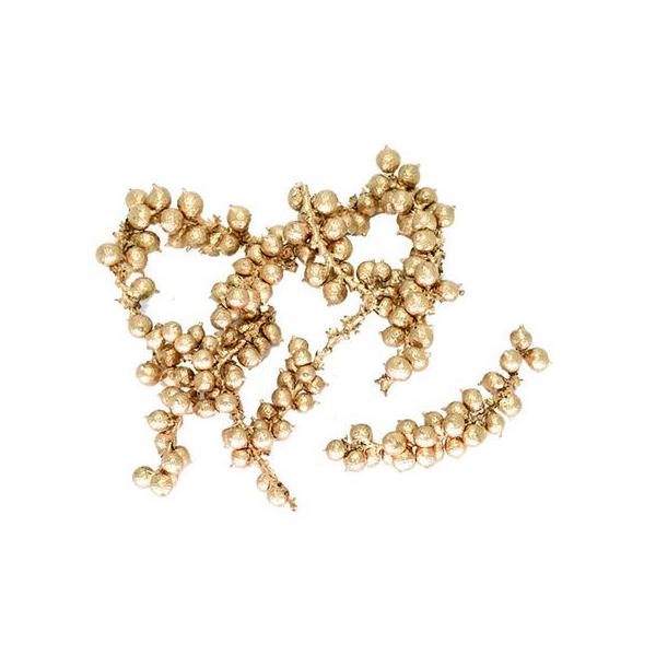 【商品番号：065-01580】/【販売単位】10袋 ※表示価格は、この単位での金額となります/【VAR：】date20251103ドライ実物＆フルーツ 木の実【コアトレーディング】