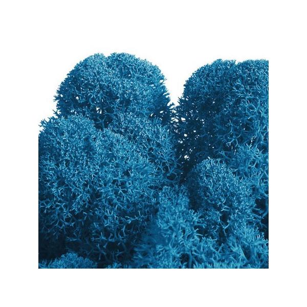 【商品番号：075-00203】/【VAR：25484】4543567820873/20161128new/bk-3017プリザーブドグリーン モス・苔【フロールエバー】