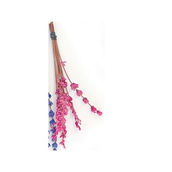 【商品番号：075-00762】/【VAR：63122】20200713new/natsulav/bk-3006/color20230919/プラスフラワー/小ロットで買いやすくなりました！2411プリザーブドフラワー花材 小花【フロールエバー】