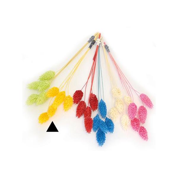 【商品番号：075-00776】/【VAR：63125】20200713new/color20230919/プラスフラワードライフラワー花材 ポアプランツ