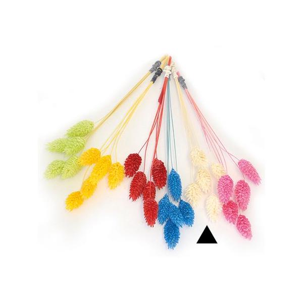 【商品番号：075-00779】/【VAR：63125】20200713new/プラスフラワードライフラワー花材 ポアプランツ