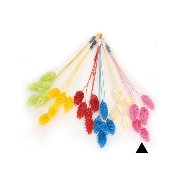 【商品番号：075-00780】/【販売単位】6袋 ※表示価格は、この単位での金額となります/【VAR：63125】20200713new/color20230919/プラスフラワードライフラワー花材 ポアプランツ【フロールエバー】