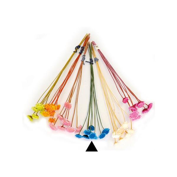 【商品番号：075-00790】/【販売単位】6袋 ※表示価格は、この単位での金額となります/【VAR：63127】20200713new/color20230919/プラスフラワードライフラワー花材 マルガリータ