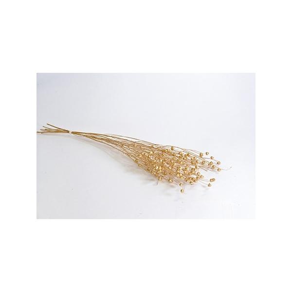 【商品番号：075-00830】/【VAR：59569】20201013new/15px-002ドライフラワー花材 その他ドライフラワー