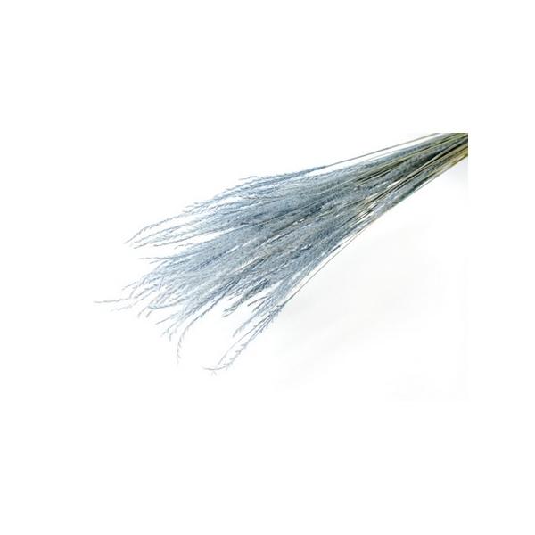 【商品番号：075-00964】/【VAR：67604】20230120new/bk-3013/fuw-01/color20230919ドライ穂物 その他【フロールエバー】