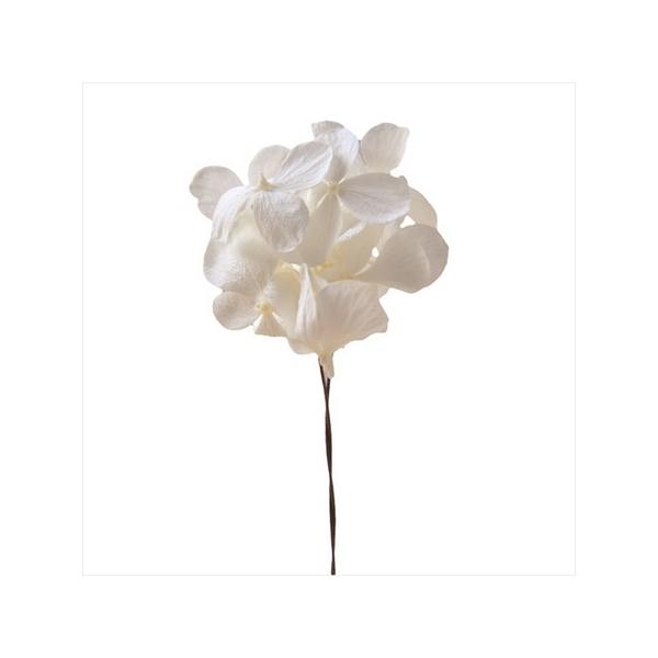 【商品番号：075-01018】/【VAR：67678】20230704new/color20230919/プラスフラワー/bk-4004プリザーブドフラワー花材 アジサイ【フロールエバー】