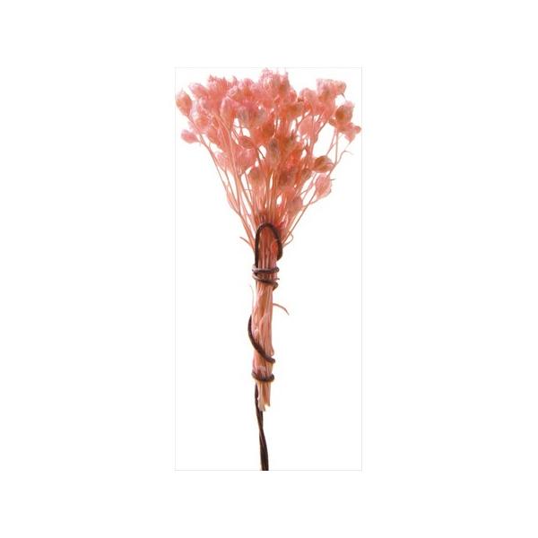 【商品番号：075-01029】/【VAR：67679】20230704new/color20230919/プラスフラワープリザーブドフラワー花材 小花