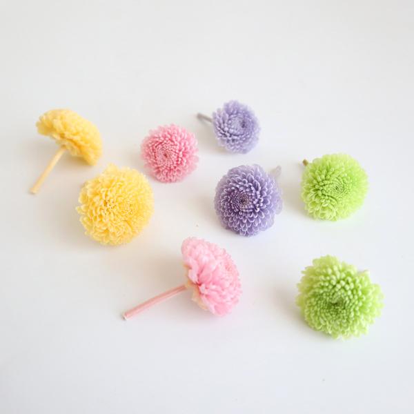 【商品番号：075-01042】【VAR：2312】20230707new/bk-4005 プリザーブドフラワー花材 キク（菊）、マム