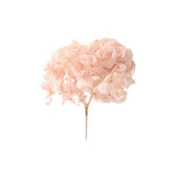 【商品番号：075-01049】/【VAR：77126】date20231205/プラスフラワー/milkypink/16hina-010プリザーブドフラワー花材 アジサイ