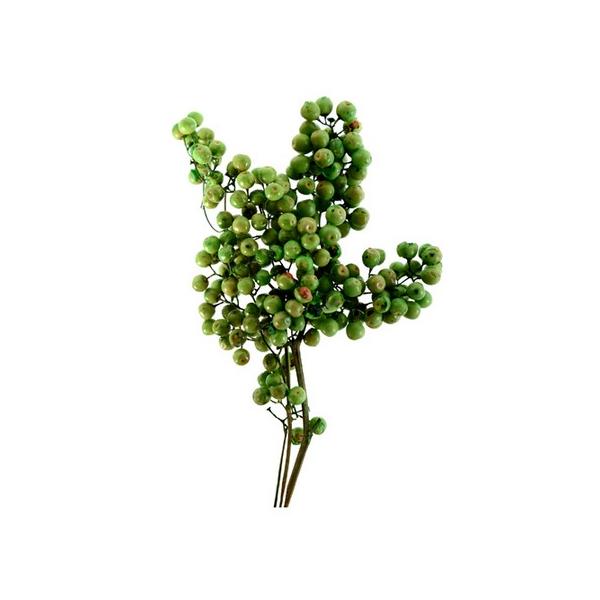 【商品番号：075-01051】/【VAR：77127】date20231205/プラスフラワープリザーブド実物 ペッパーベリー