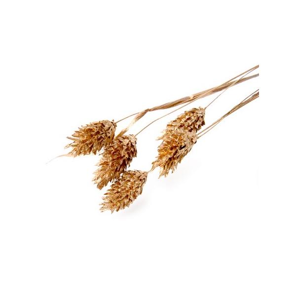 【商品番号：075-01068】/【販売単位】6袋 ※表示価格は、この単位での金額となります/【VAR：77130】date20231205/プラスフラワー/15px-002ドライフラワー花材 ポアプランツ【フロールエバー】