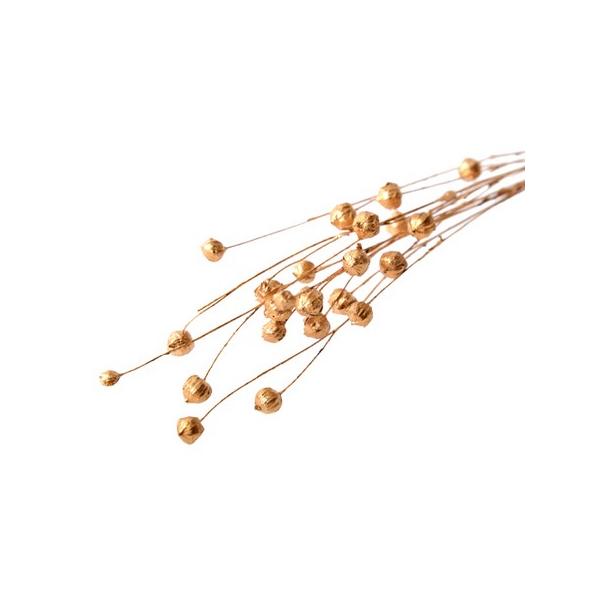 【商品番号：075-01070】/【販売単位】6袋 ※表示価格は、この単位での金額となります/【VAR：77130】date20231205/プラスフラワー/15px-002ドライフラワー花材 その他ドライフラワー【フロールエバー】