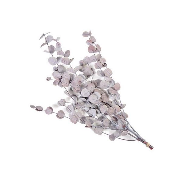 【商品番号：075-01082】/【VAR：2316】date20231212プリザーブドグリーン 葉物【フロールエバー】