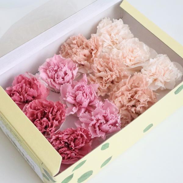 【商品番号：075-01098】/【VAR：11472】date20231222/16v-004/bk-502プリザーブドフラワー花材 カーネーション【フロールエバー】