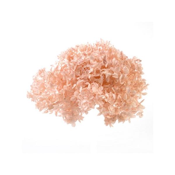 【商品番号：075-01106】/【VAR：77157】date20240220プリザーブドフラワー花材 アジサイ