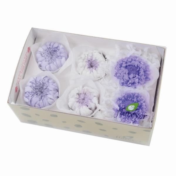 【商品番号：075-01134】/【VAR：81350】date20240709/プリザーブドフラワー花材 キク（菊）、マム【フロールエバー】