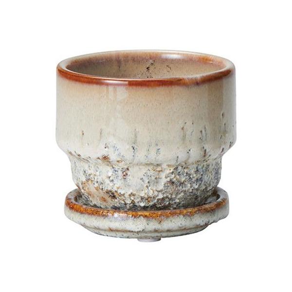 【商品番号：077-24708】/【VAR：87245】date20251001園芸用品 植木鉢・フラワーポット 陶器・セラミック鉢【友膳】