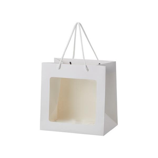 【商品番号：079-07210】/【販売単位】6枚 ※表示価格は、この単位での金額となります/【VAR：17982】20210622new/color20230919ラッピング袋・プレゼント袋 手提げ紙袋【松野ホビー】