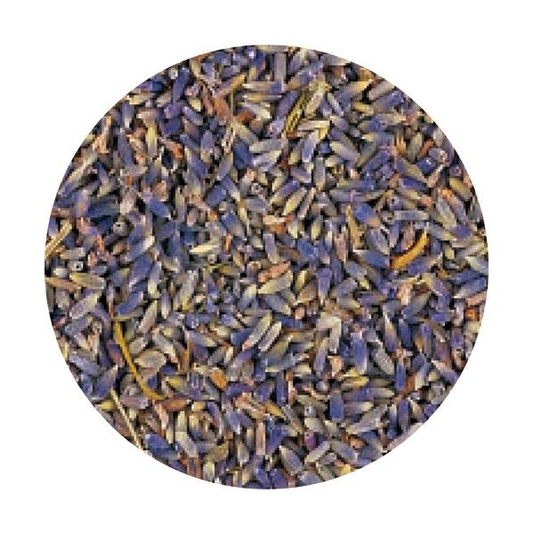 【商品番号：117-00017】/【VAR：37138】4954753024232/20160918new/bk-3016/natsulavドライフラワー花材 ラベンダー【パレ】