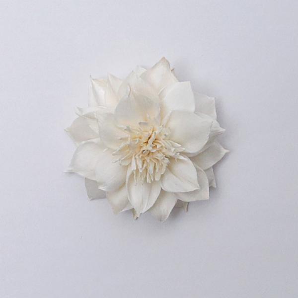 【商品番号：131-01644】/【販売単位】3袋 ※表示価格は、この単位での金額となります/【VAR：27660】date20240521/ソラフラワー その他ソラフラワー【サンセイ】