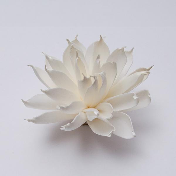 【商品番号：131-01661】/【販売単位】3袋 ※表示価格は、この単位での金額となります/【VAR：81336】date20240521//まつむら通信ソラフラワー その他ソラフラワー【サンセイ】