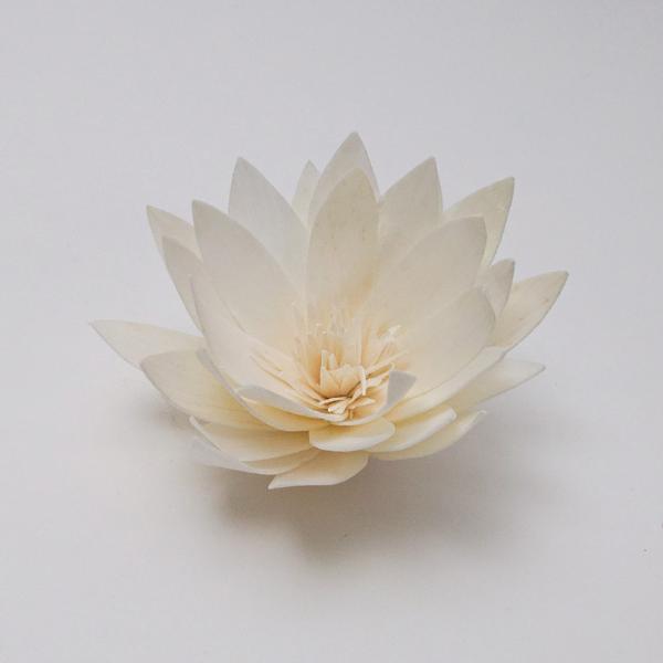 【商品番号：131-01664】/【販売単位】3袋 ※表示価格は、この単位での金額となります/【VAR：】date20240521/ソラフラワー その他ソラフラワー【サンセイ】