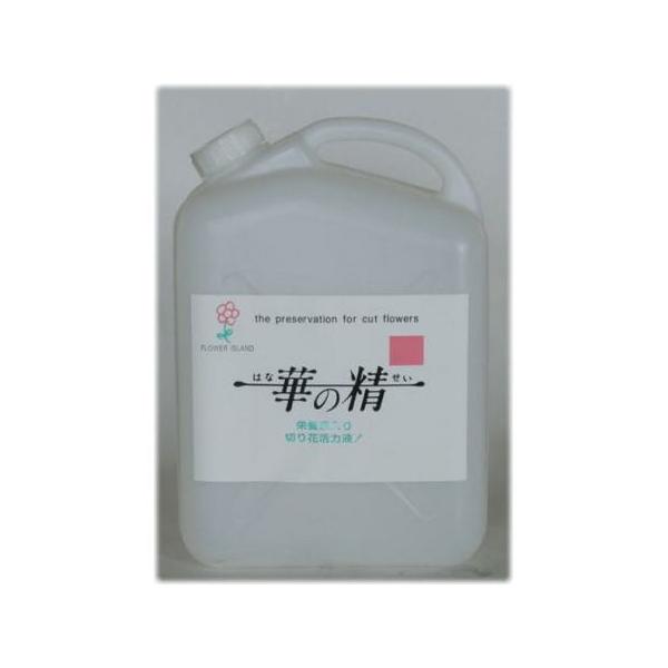 【商品番号：133-00165】/【VAR：517】date20250702切花延命剤・栄養剤 華の精
