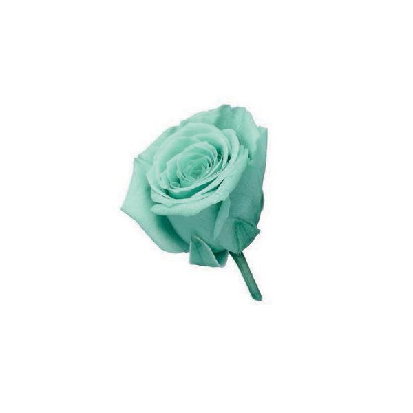 【商品番号：134-00021】/【VAR：33421】date20260309プリザーブドフラワー花材 バラ（ローズ）【大地農園】