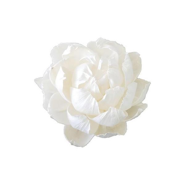 【商品番号：154-00178】/【VAR：】20200928new/bk-3019ソラフラワー その他ソラフラワー