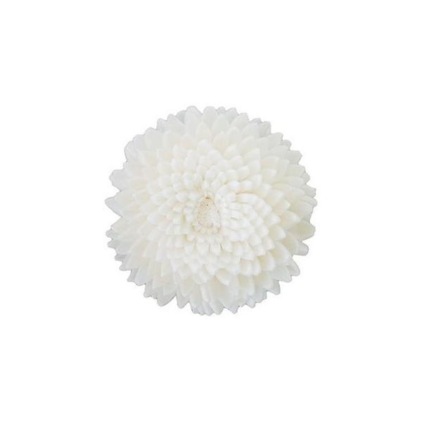 【商品番号：154-00183】/【VAR：65630】20200928new/bk-3019ソラフラワー その他ソラフラワー