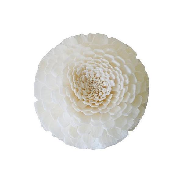 【商品番号：154-00189】/【VAR：】20200928new/bk-3019ソラフラワー ソラダリア