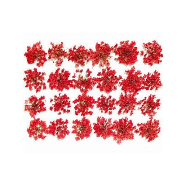 【商品番号：169-00016】/【VAR：67546】20190701new/bk-3007ドライフラワー花材 押し花