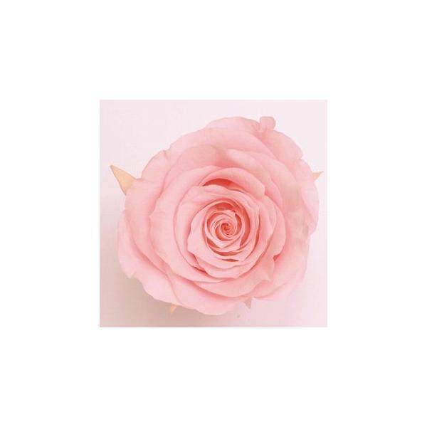 【商品番号：178-00030】/【VAR：】//05203-101/4988489167291/16v-003/bk-0023/bk-1023/bk-2023/hahanohi/76-5203-101/prikowake/bk-3003プ...