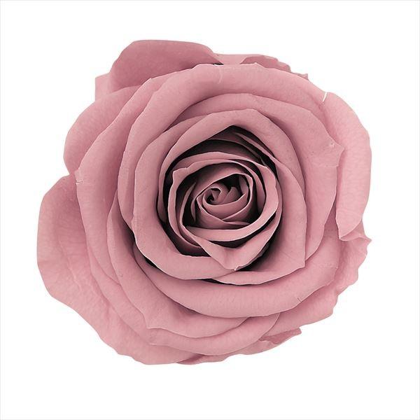 【商品番号：178-00213】/【VAR：1722】4988489221313/20170117new/P17haha-004/16ha_p002/bk-1021/bk-2021/hahanohi/76-3840-192/16v-003/...