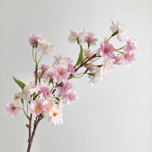 【商品番号：181-21613】/【VAR：】date20250220/oda2025_0522造花 花材「さ行」 さくら（桜）