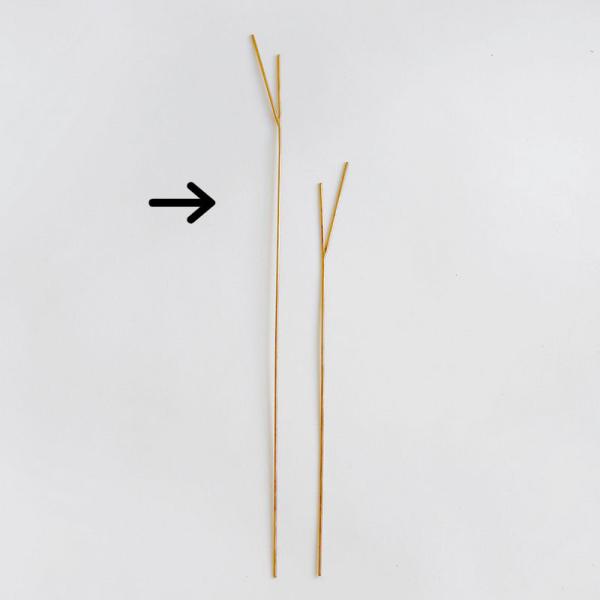 【商品番号：182-00077】/【販売単位】6個 ※表示価格は、この単位での金額となります/【VAR：70755】20220620new/切花延命剤・栄養剤 その他切花栄養剤