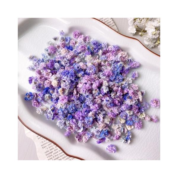 【商品番号：185-00067】/【VAR：67595】date20240401ドライフラワー花材 カスミ草