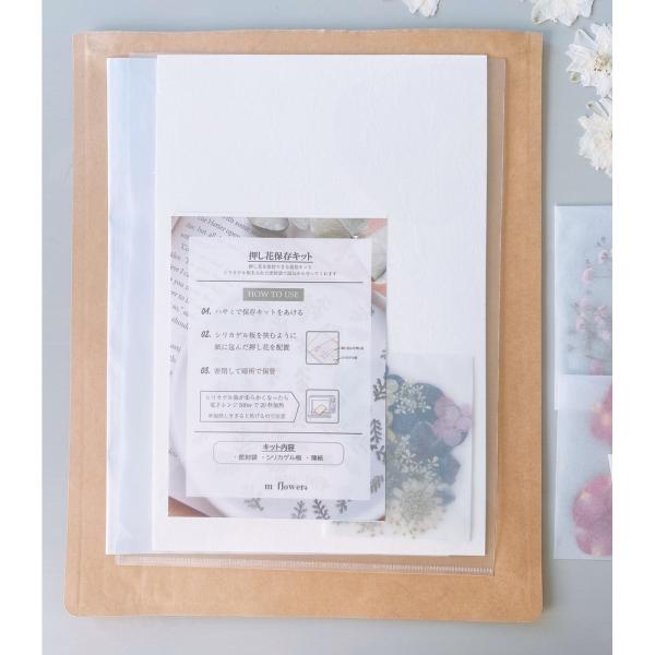 【商品番号：185-00116】/【VAR：】date20240401ドライフラワー花材 押し花