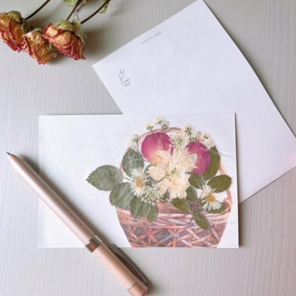 【商品番号：185-00156】/【VAR：74769】date20240801ドライフラワー花材 押し花【m flowers】