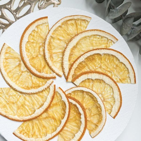 【商品番号：185-00236】/【VAR：85556】date20251003ドライフラワー花材 押し花